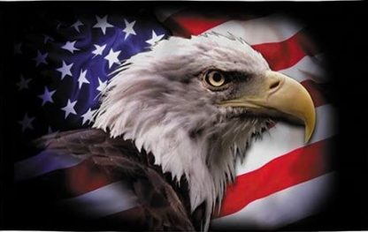 American Strong Eagle Flag - American Flags 4 Less